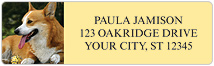 Welsh Corgi Address Labels - Checks SuperStore